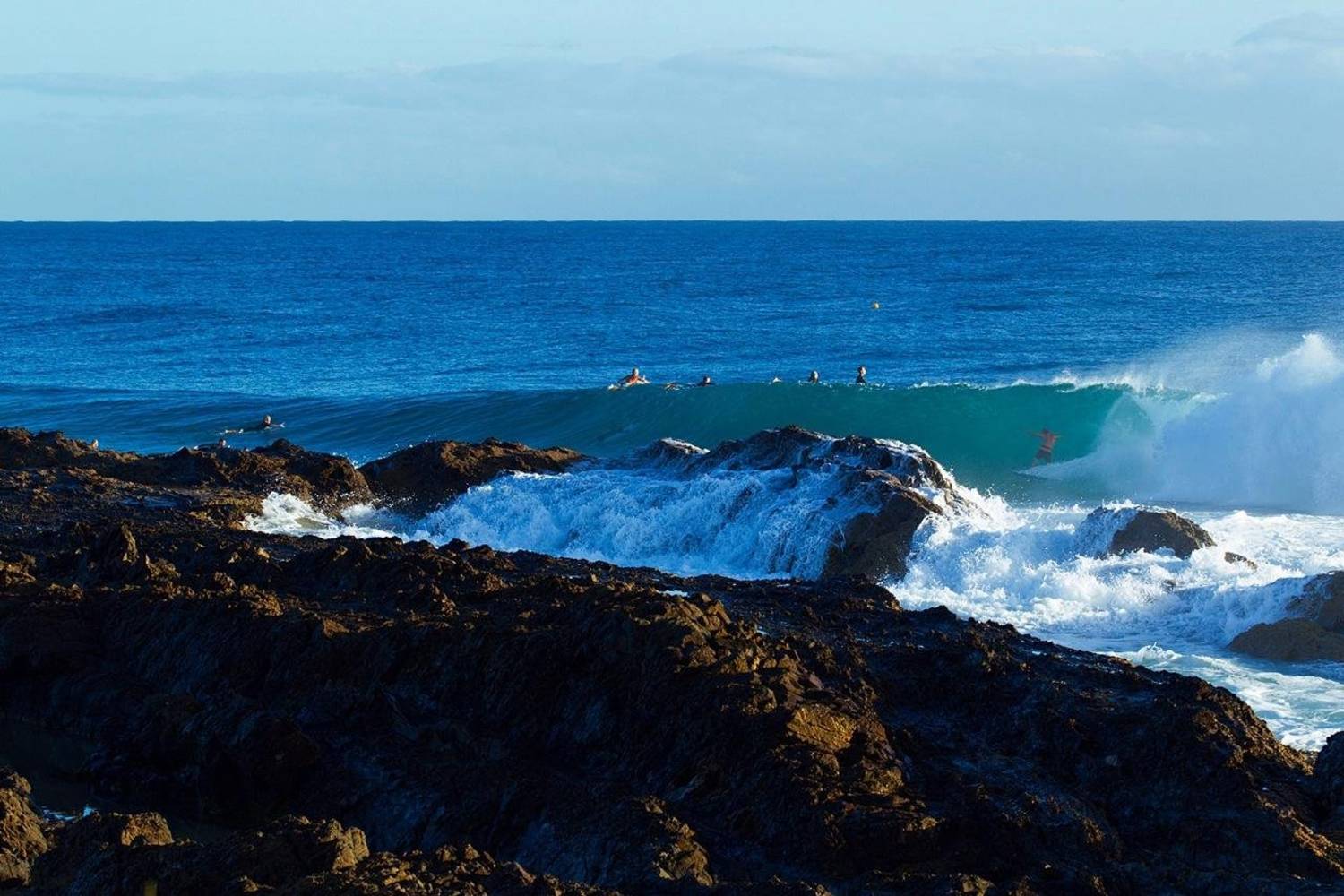 Snapper Rocks: 2016 calienta motores con estas fotos