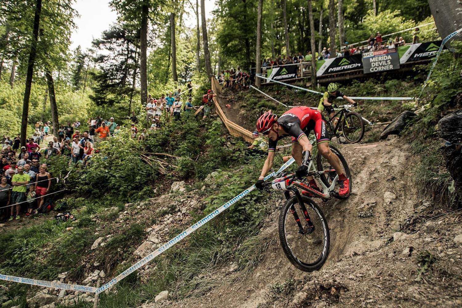 Cross country racing: 5 reasons why it still matters