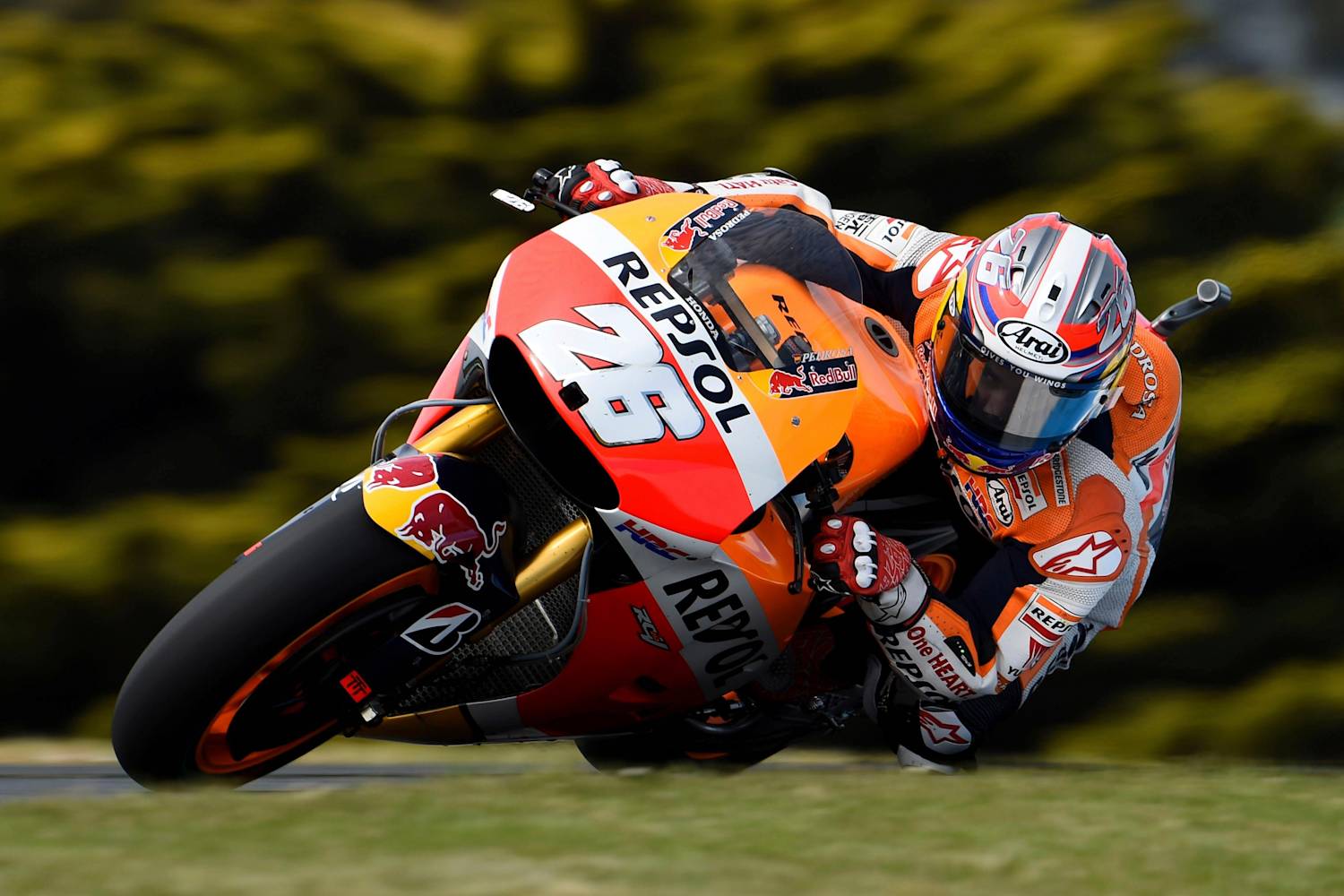 MotoGP riders never to win title | Red Bull Motorsports