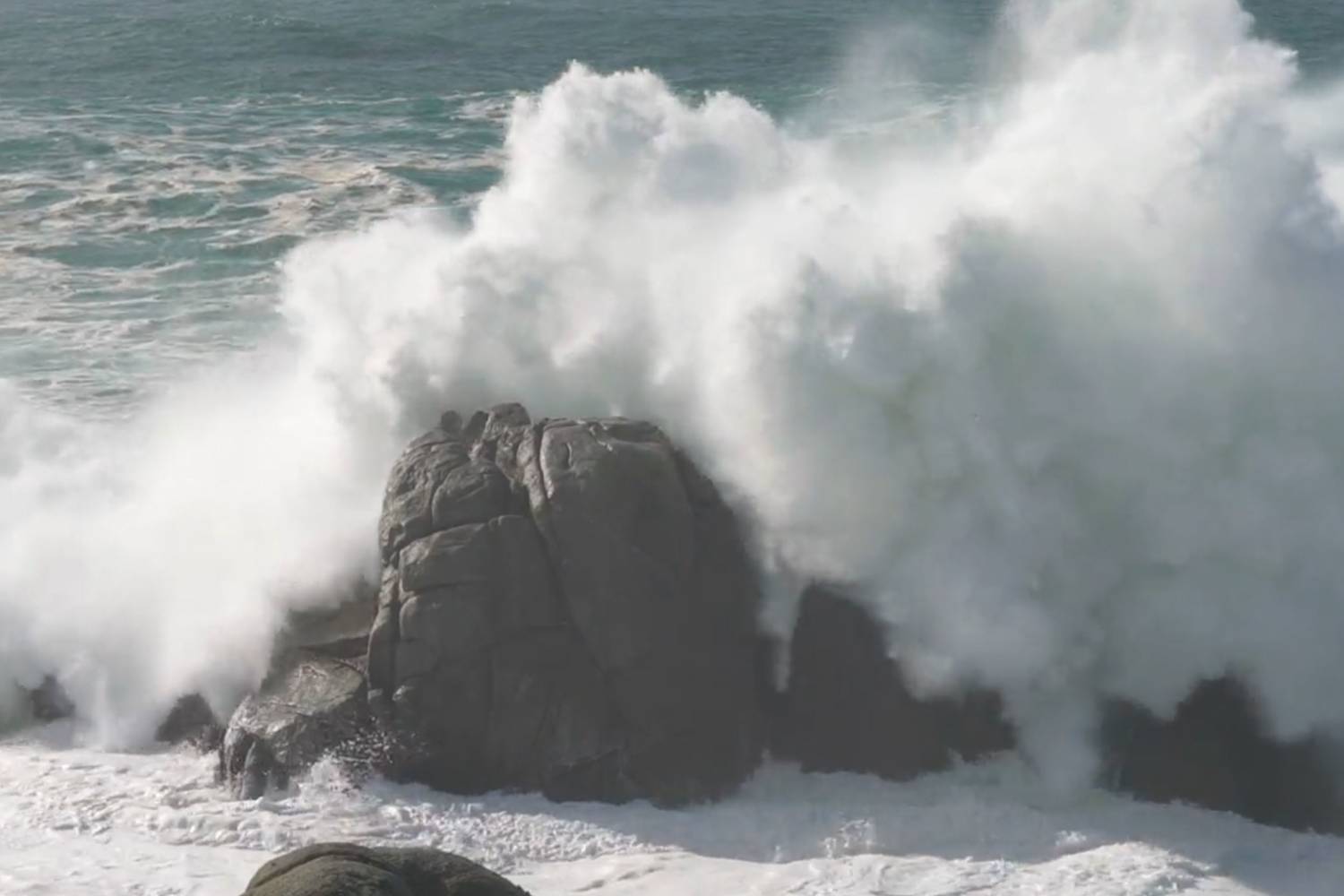 Made in... S5 E1: The mystery of Ghost Tree – video