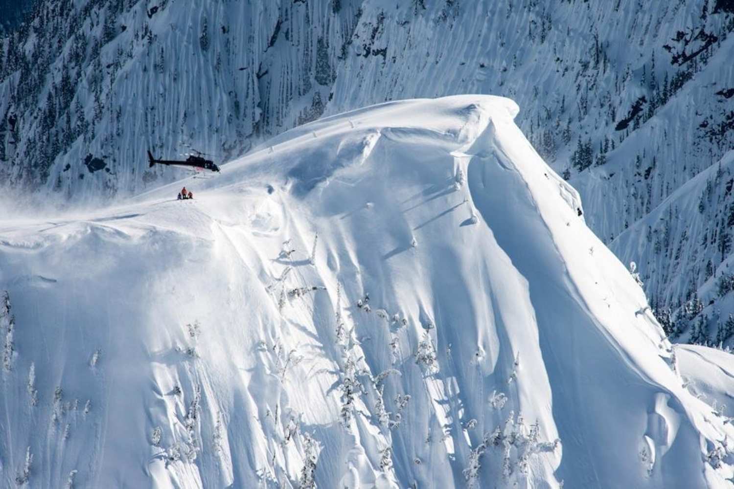 La dernière livraison signée Legs Of Steel