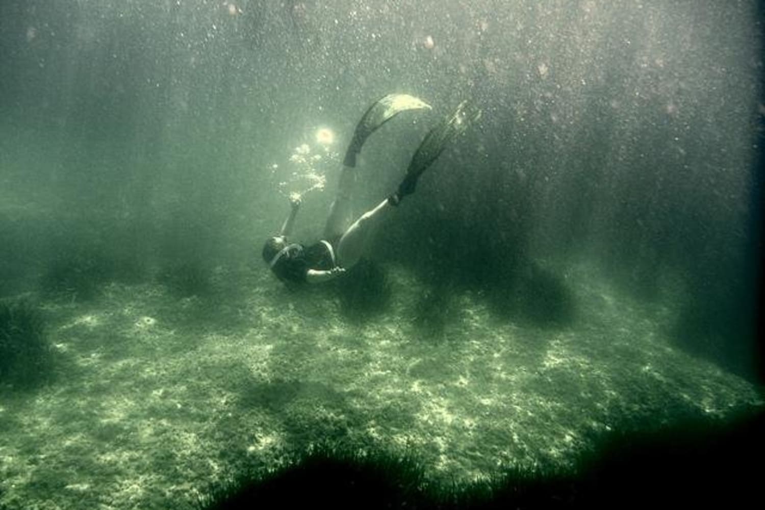 Video: Conoce el buceo extremo