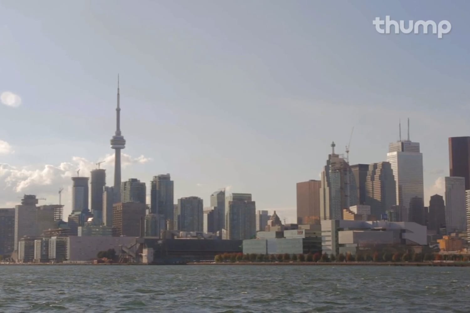 The Vice Guide to the Toronto Scene