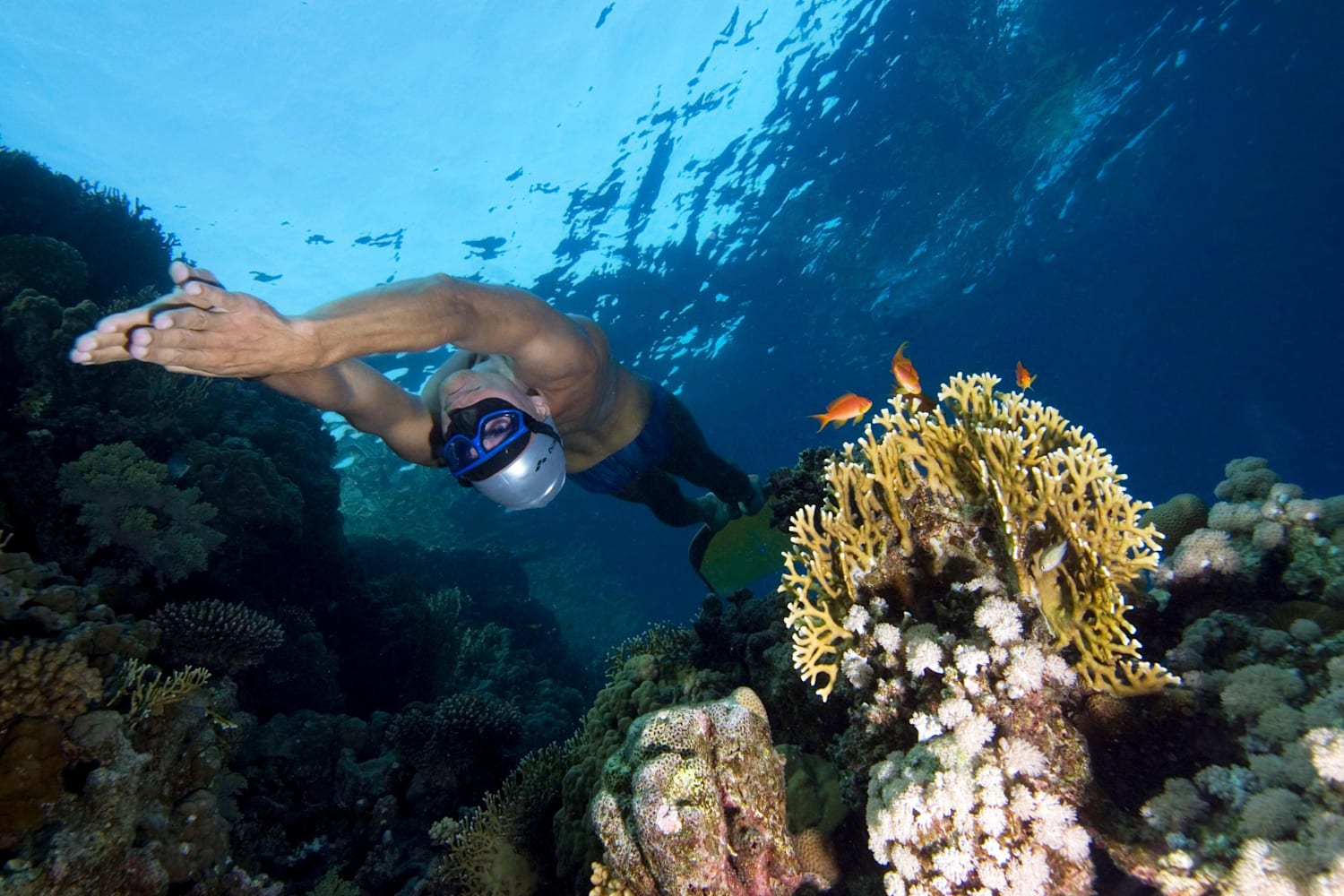 Freediving video: Watch a breathtaking clip | Red Bull