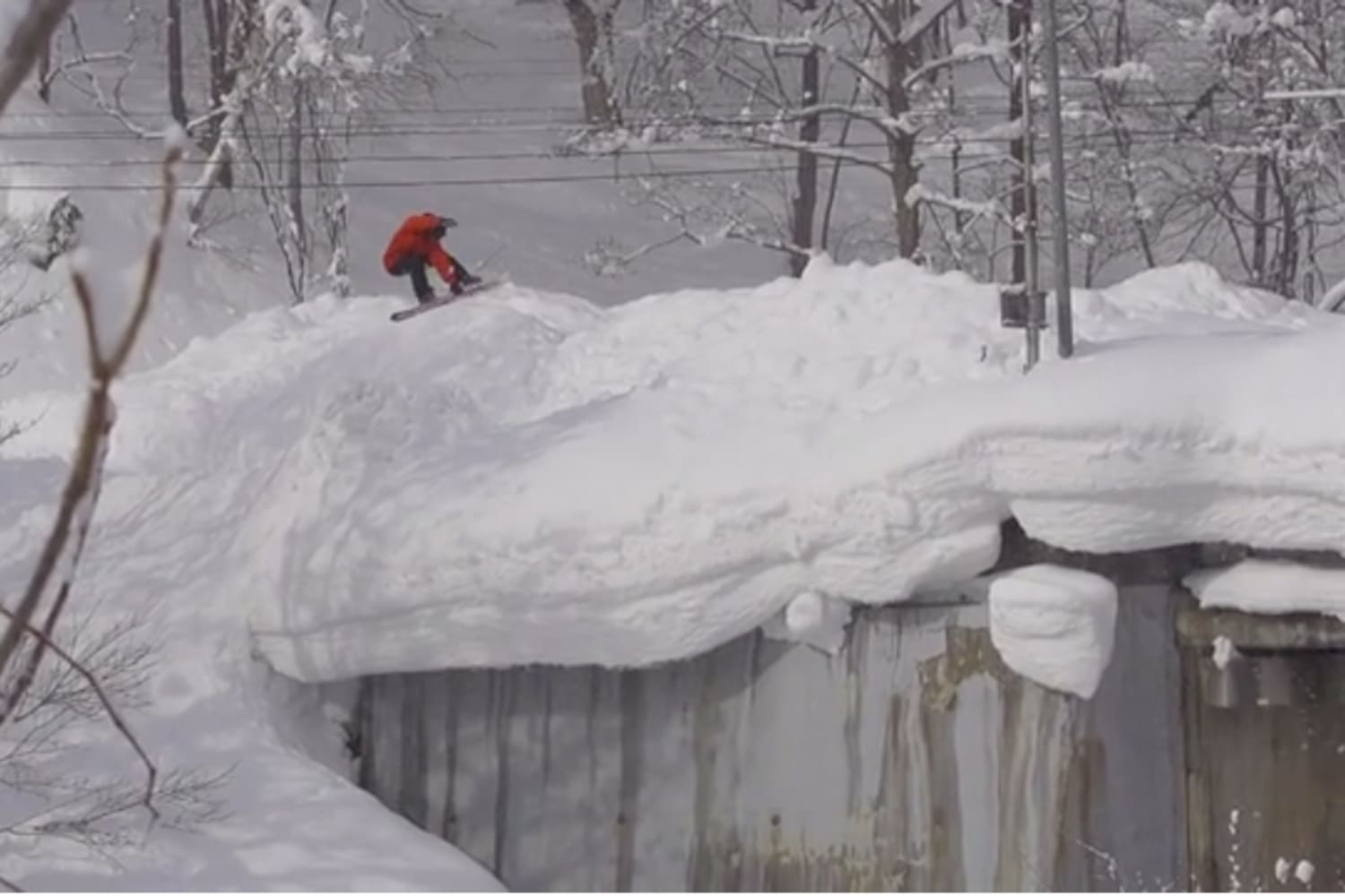 Full Part: Harrison Gordon