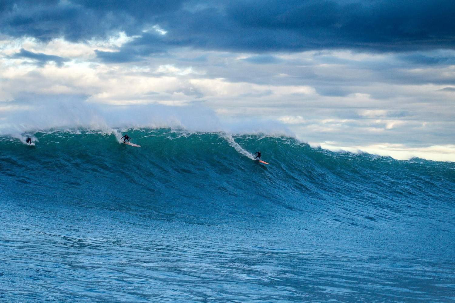 Recommended: The Vest