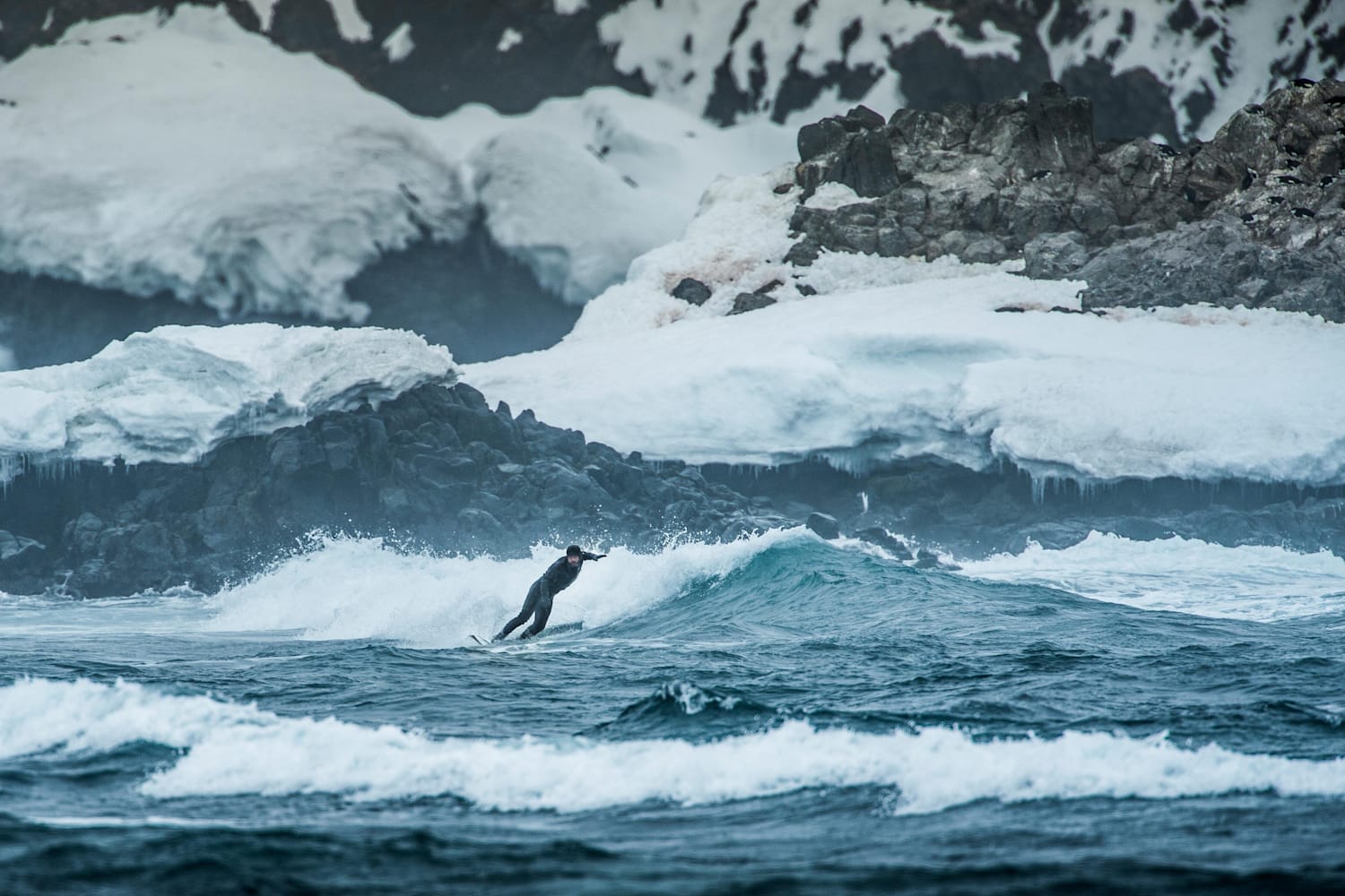 Arctic surfing photos: The world's coldest waves