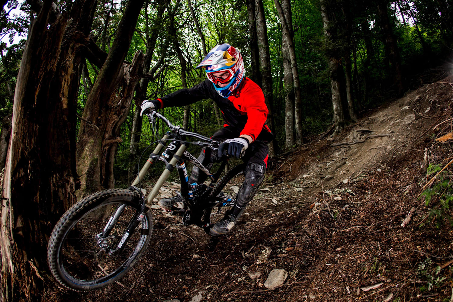 Welcome, Loïc Bruni