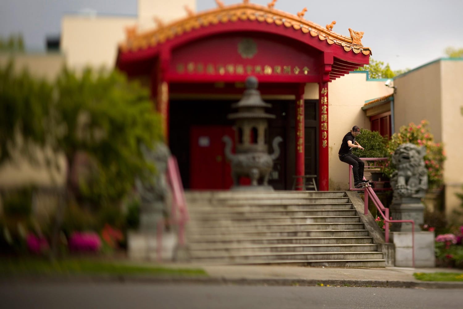 谢幕：David Gravette