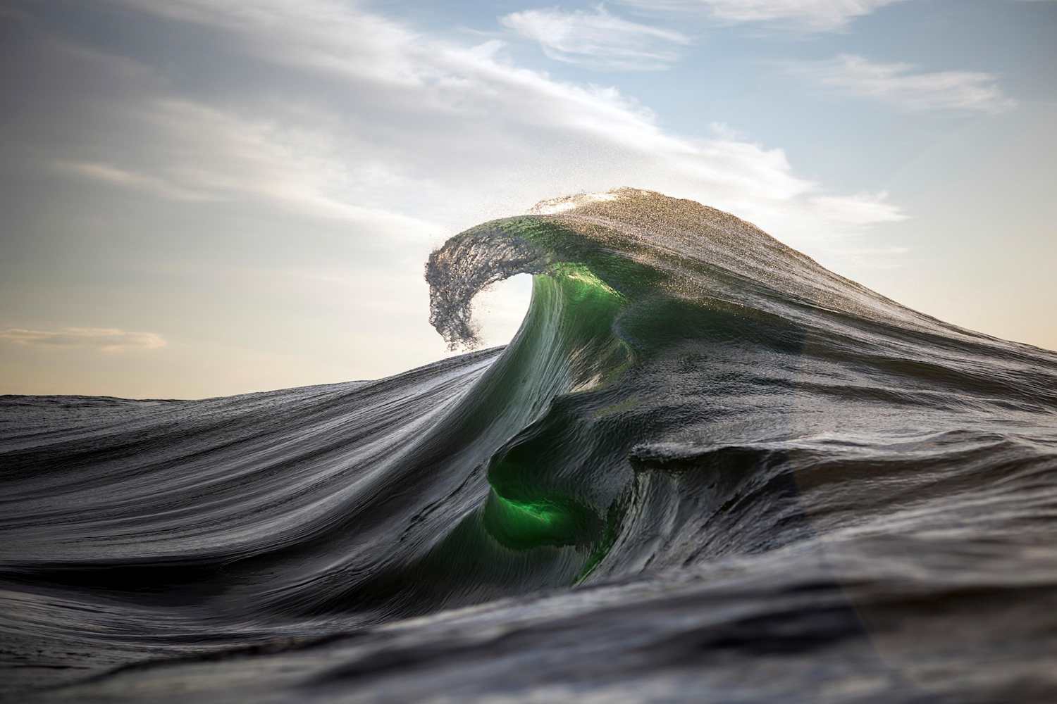 História em fotos: Ray Collins