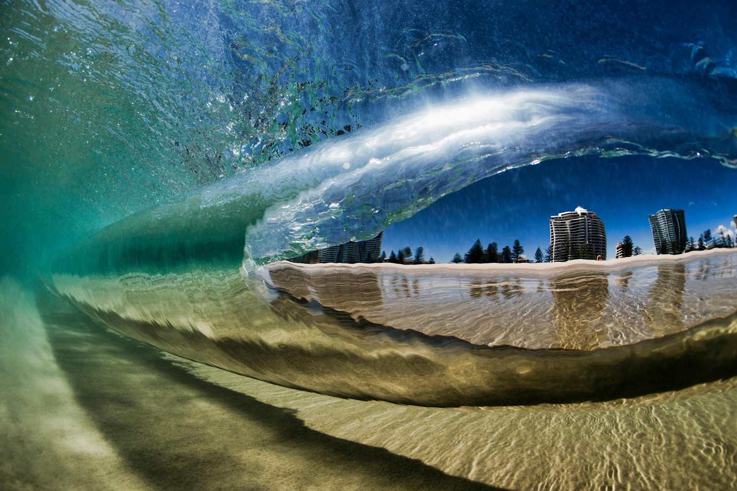 História em fotos: Ray Collins