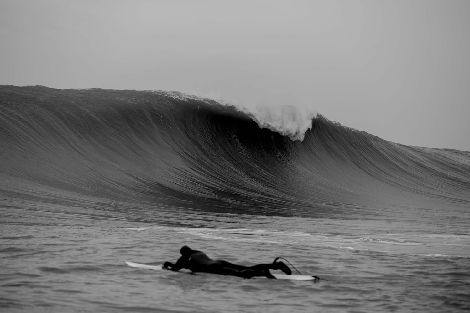 This and Nothing Else: Alex Martins and Mavericks