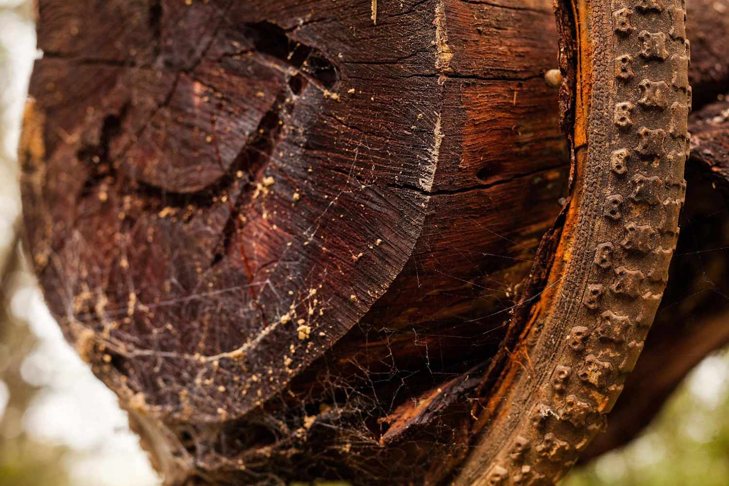 Dolecki entdeckt in Neuseeland das BMX-Paradies