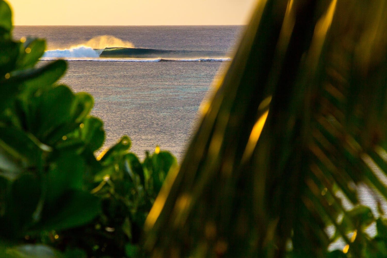 Gallery: The best surf travel photos