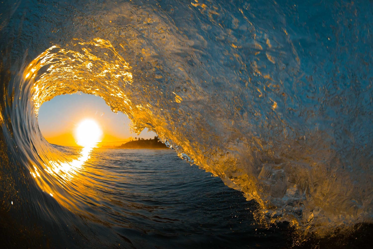 The wave art of Sacha Specker