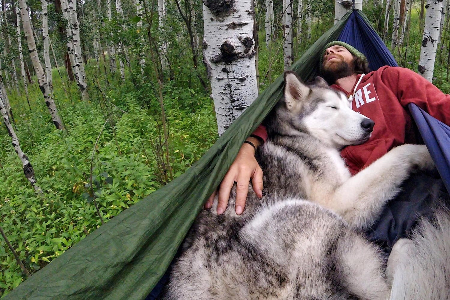 Il cane superstar su Instagram con 600 mila follower