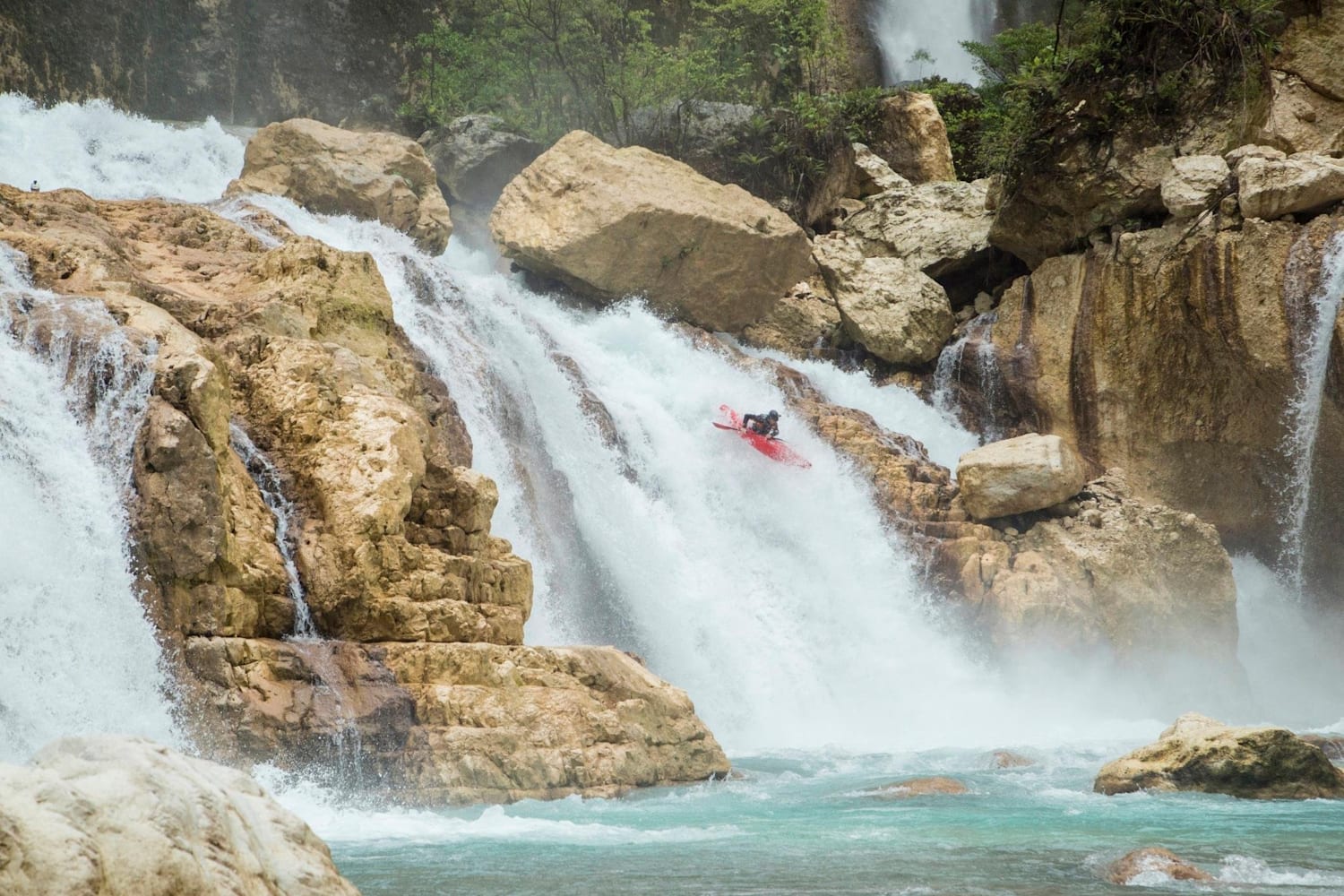 This video shows the pain and dangers of foot rot