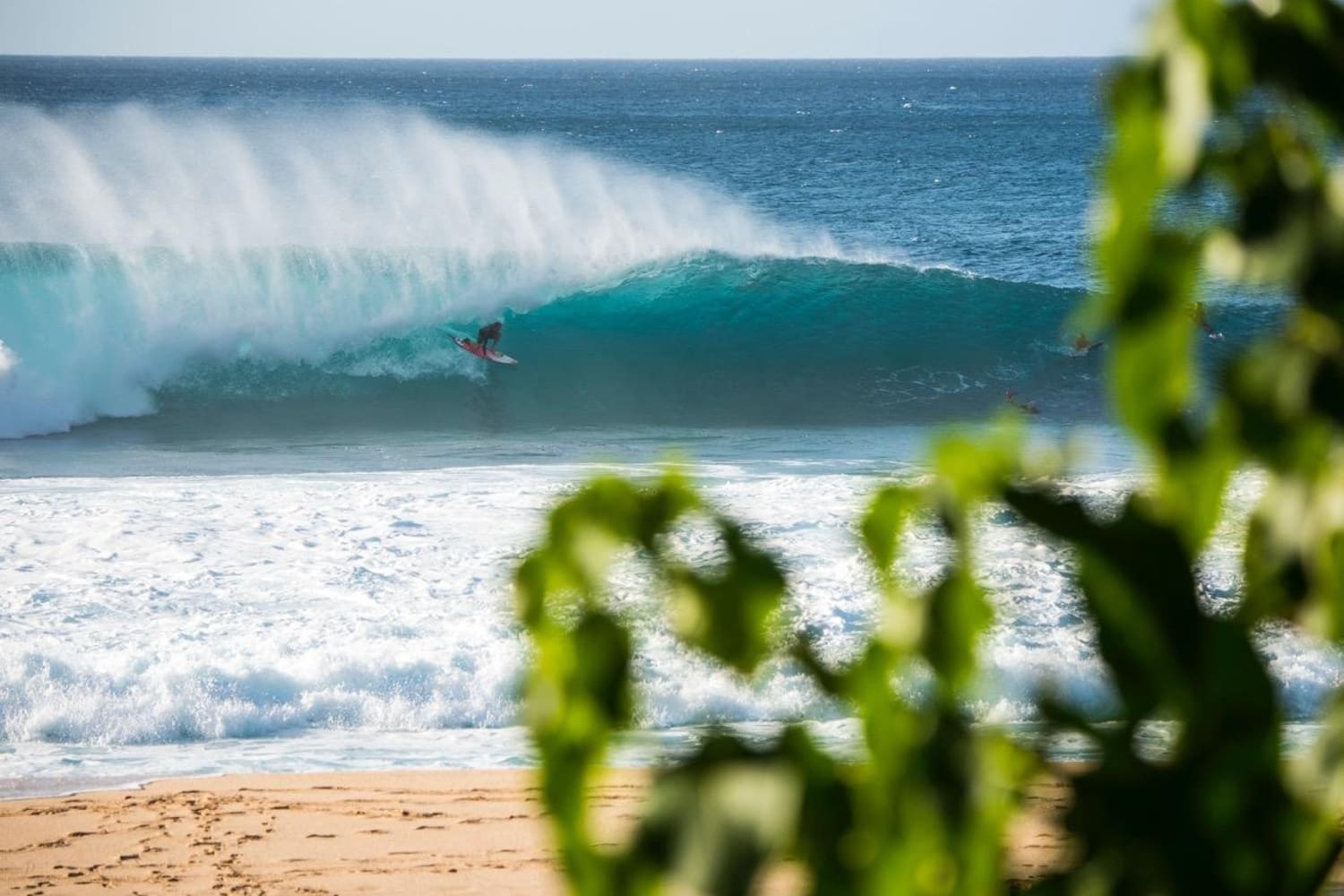 Pipeline es mucho Pipe... ¡Mira las mejores olas!