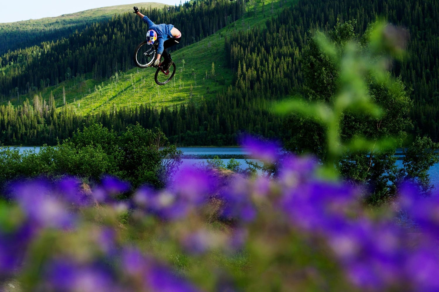 Best spring mountain bike images