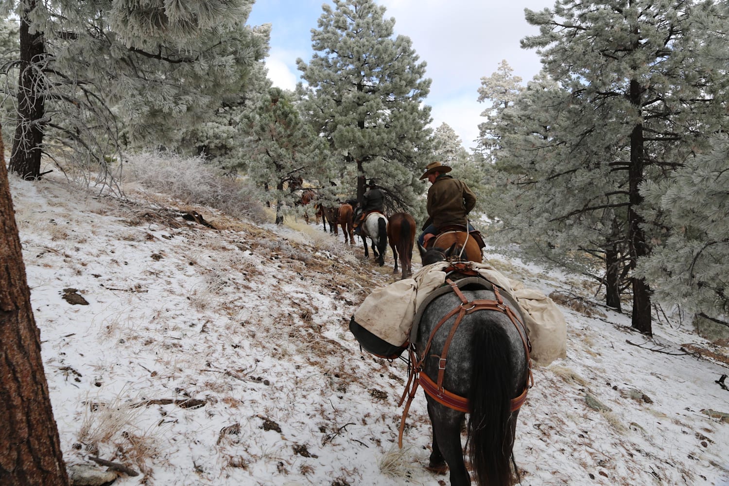 Watch a preview of Wild West adventure Unbranded