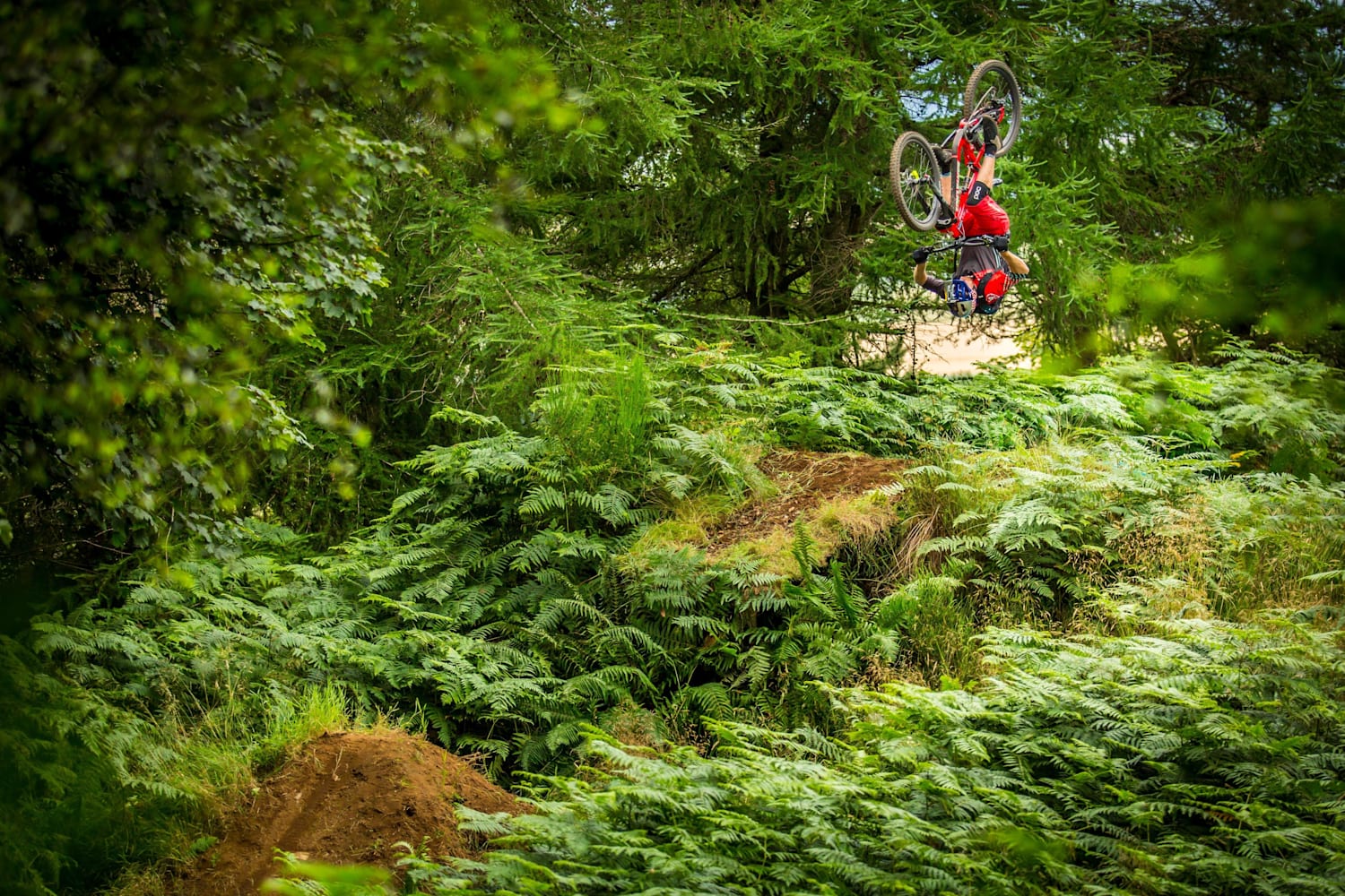 "A Wee Day Out": Danny MacAskill's spektakulärer Clip!