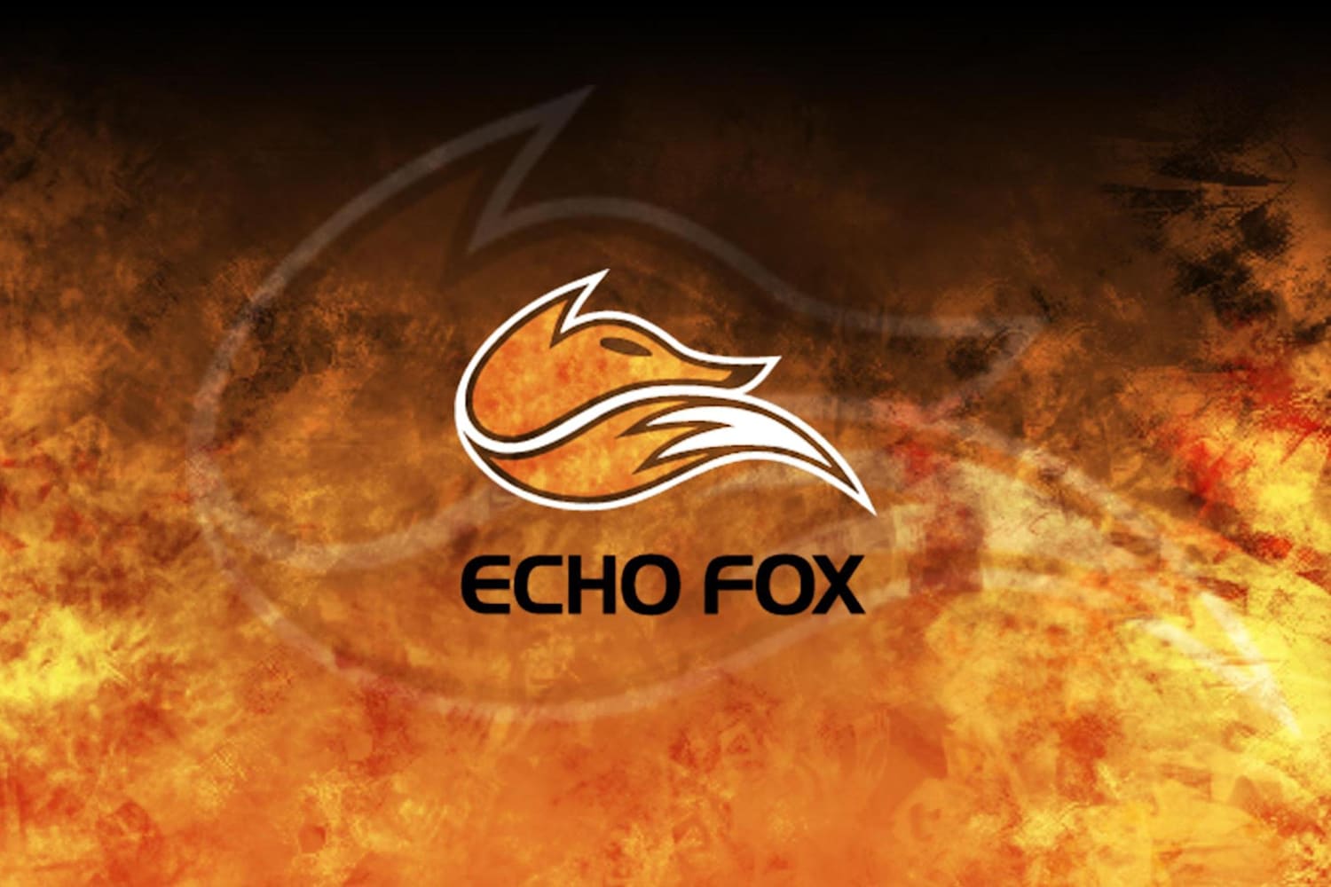Seangares Counter-Strike interview Echo Fox Cloud9
