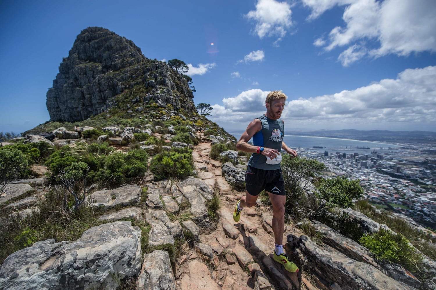 Lion King on the hunt for another title