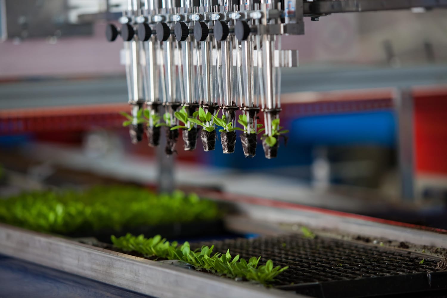 Robots in agriculture: How technology feeds the world