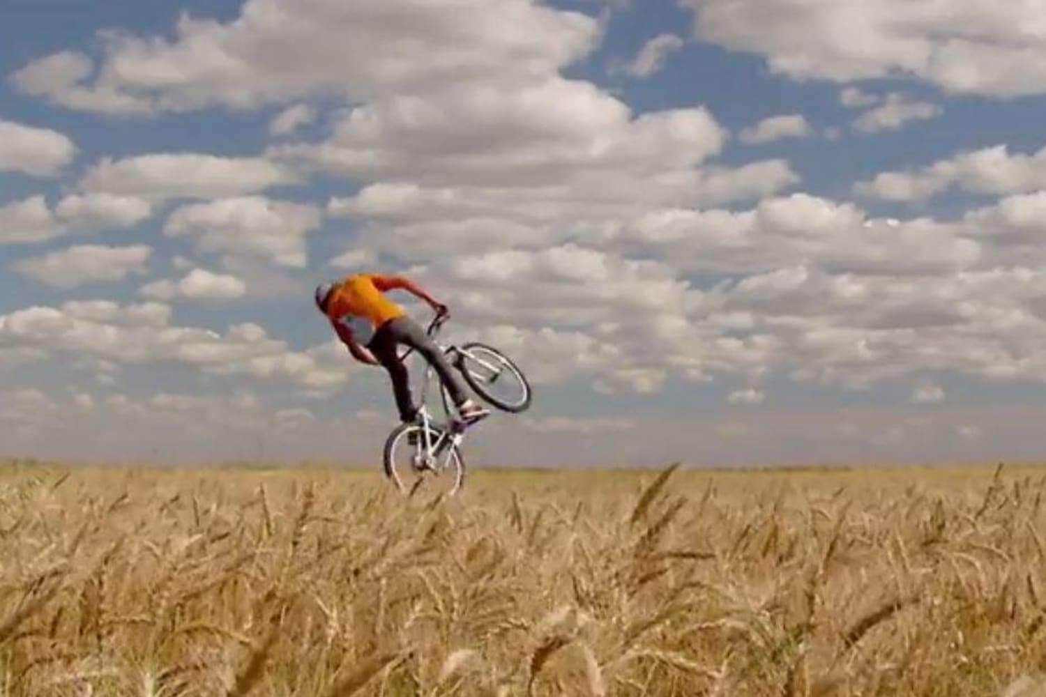 Life Cycles: Film MTB, od którego wszystko się zaczęło.