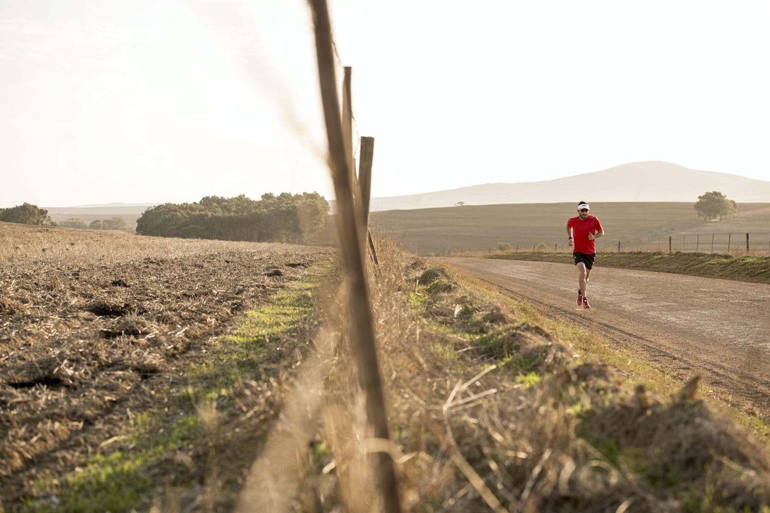 richard murray hamburg blog