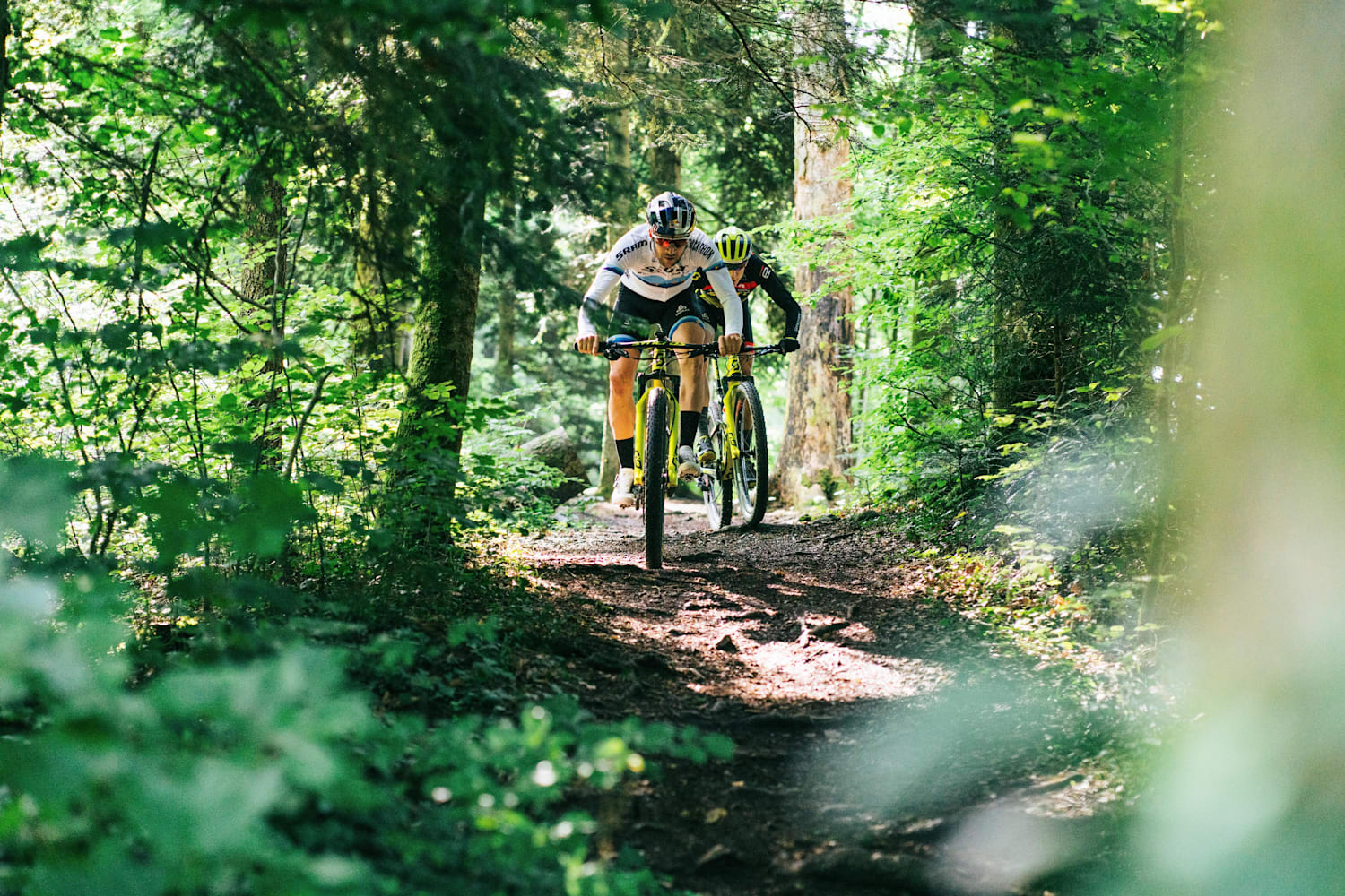Lars Forster MTB training: 6 cross-country riding tips