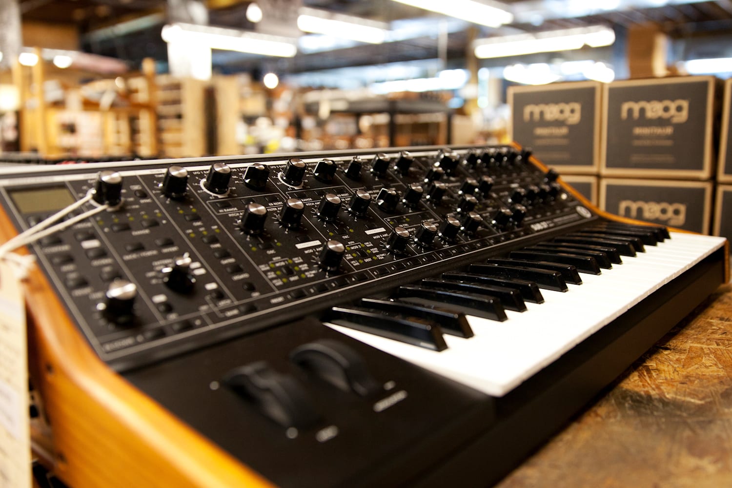 Moog