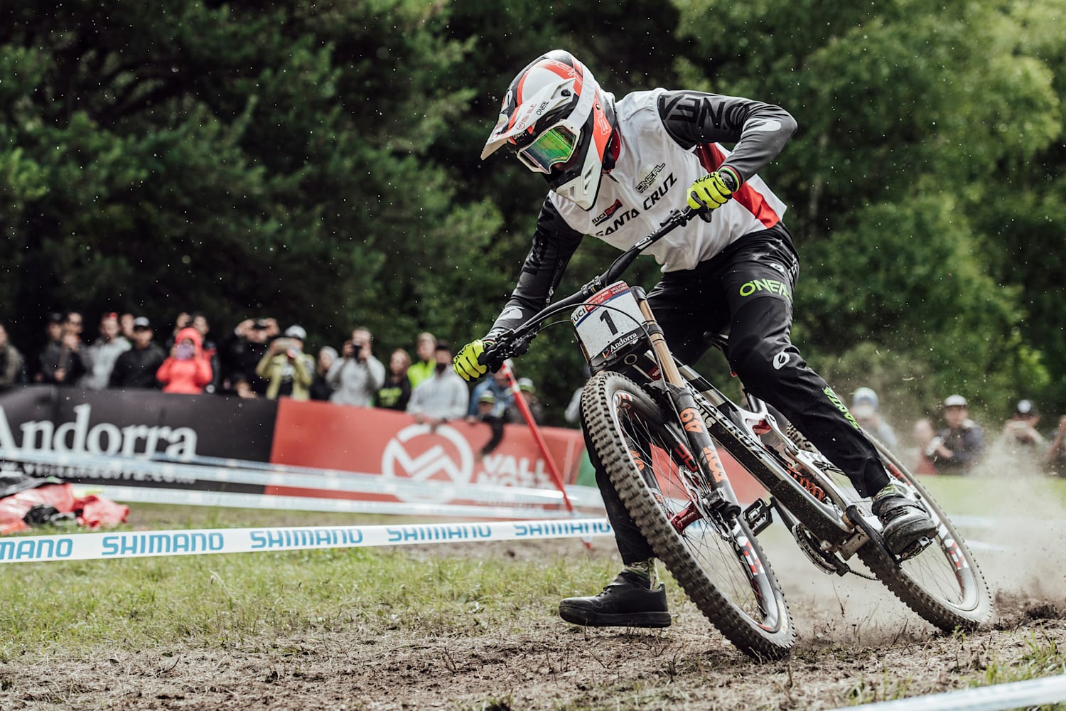 Greg Minnaar Profile