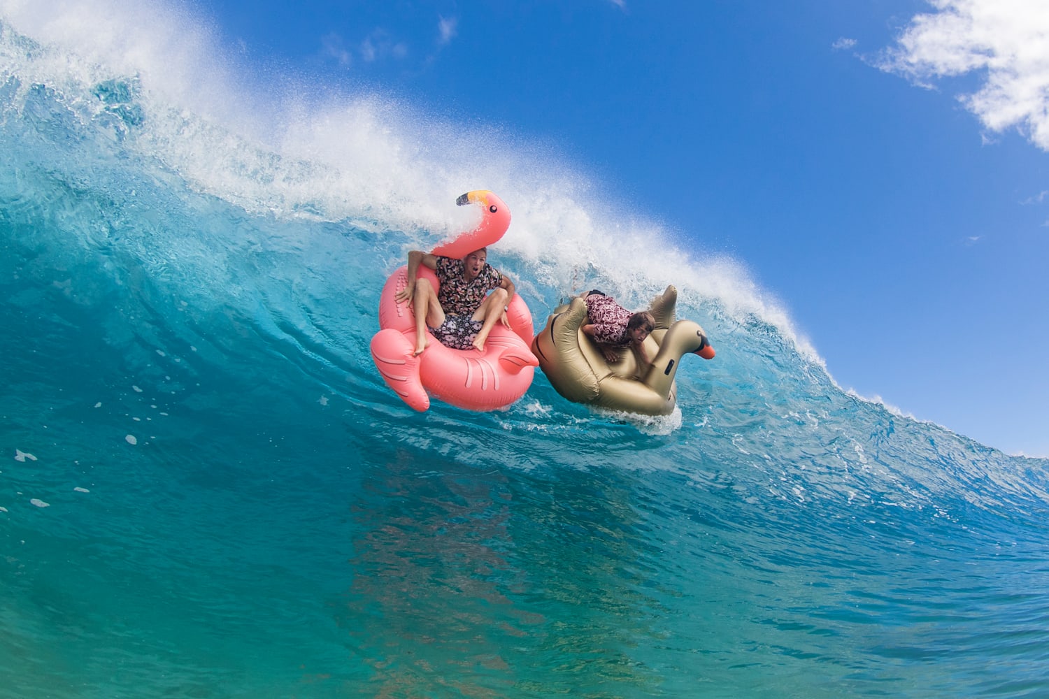 Who is JOB S6 E7: surfing soft tops and sofas – video