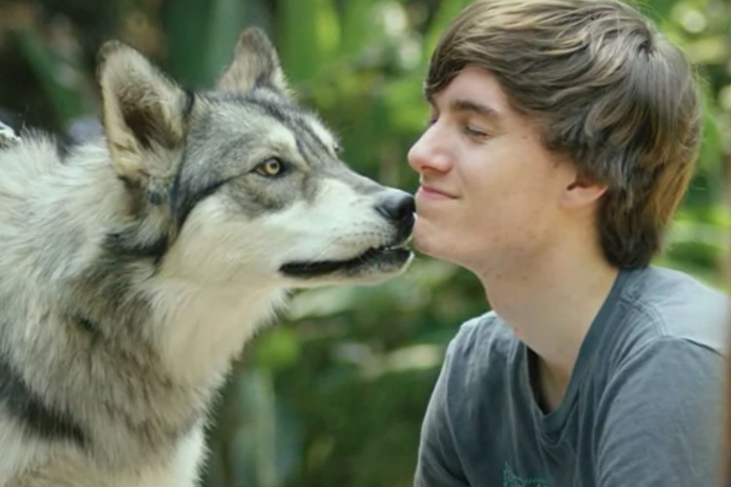 Learning with wolves