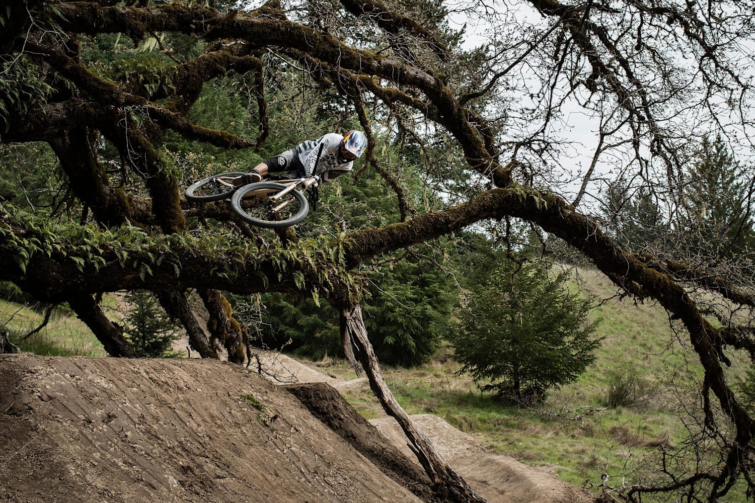 Brandon Semenuk - Parte 3