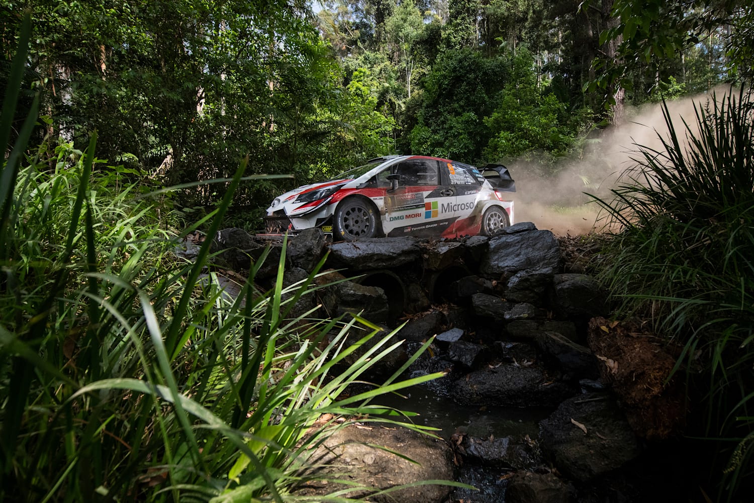 FIA World Rally Championship 2019: WRC season recap