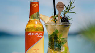 ORGANICS by Red Bull Ginger Ale - Ginger Smash