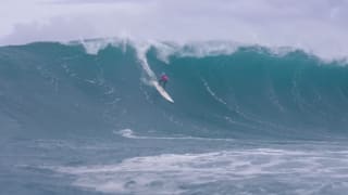 Polly Ralda Magnitude Entry 1