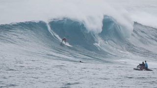 Polly Ralda Magnitude Entry 3