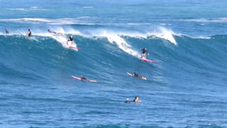 Remi Nealon Magnitude Entry 2