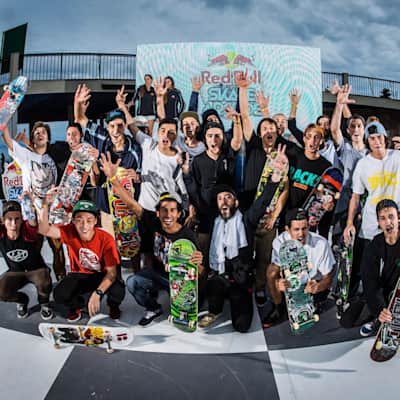 Red Bull Skate Arcade 2014