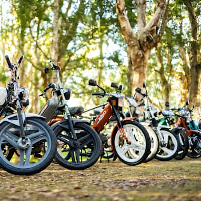 Red Bull Pata Pata Mauritius : Programme