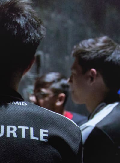 WildTurtle Returns to TSM For Spring 2017 in the LCS