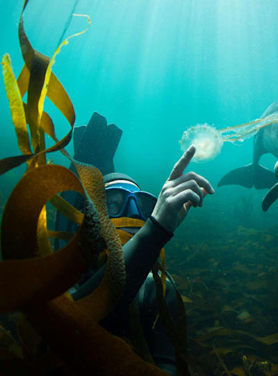 Scuba diving Ireland: 10 spots worth checking out