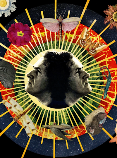 Krishnanda, uma Obra-Prima Renascida