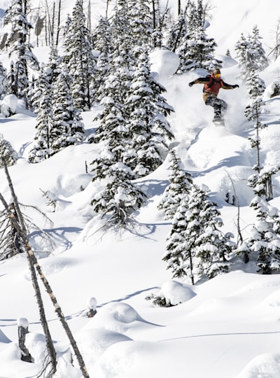 Snowboarding: Travis Rice Natural Selection Tour – info