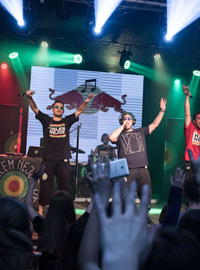 Helem Nejse pozivaju na prvi koncert Brude