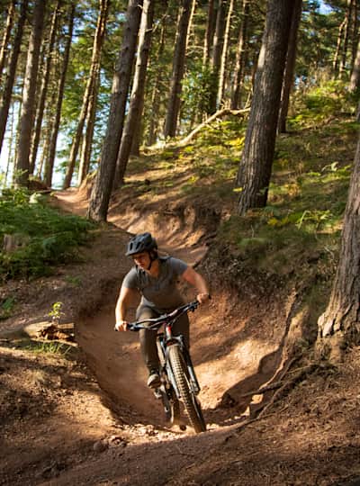 Cannock Chase – Guide: All you need to know