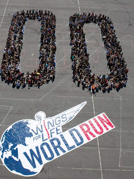 Wings for Life World Run – 100 days to go!